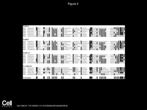 Volume 97 Issue 6 Pages June 1999 Ppt Download