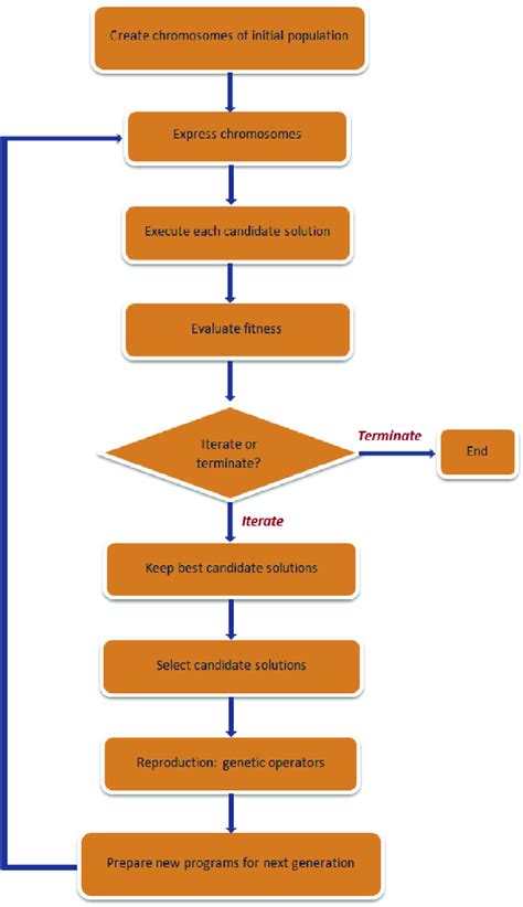 Steps In Gep Implementation Process [adapted From Martí Et Al 2013