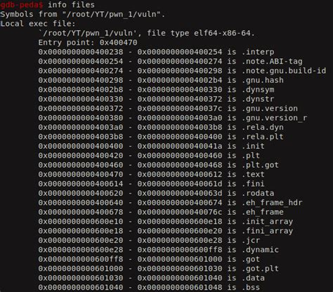 pwning binary with nx and aslr protections enabled