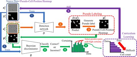 Effective Pseudo Labeling Based On Heatmap For Unsupervised Domain