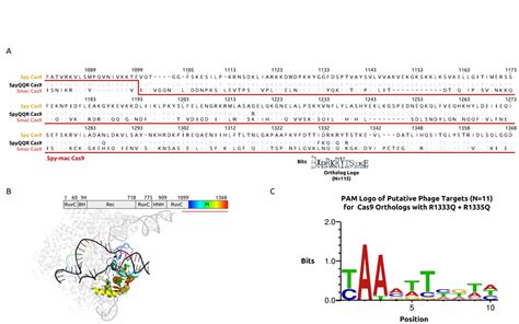 Identification Of Features From Natural Pam Divergence Through