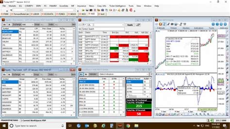 Datafeed And Api At ₹ 6000pack In New Delhi