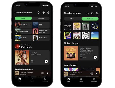Jrmc 7011e Project Management And Innovation Spotify Mobile App Redesign For Music Sharing