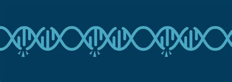 Missense Mutation Definition Cause And Significance Idt