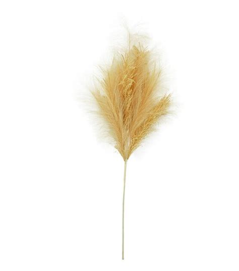36 Fall Toast Pampas Grass Stem By Bloom Room Joann