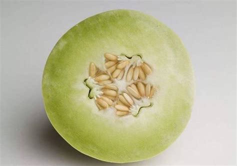 孕媽媽可以吃蘭州蜜瓜嗎以及蘭州蜜瓜在生長管理期的注意要點 每日頭條