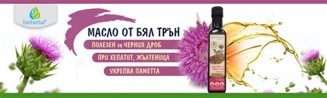 Билки, чай, хранителни добавки - онлайн магазин Bilki.bg | онлайн ...