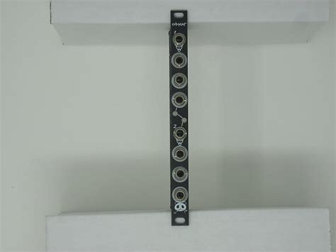 Patching Panda Copycat Buffered Mult Reverb