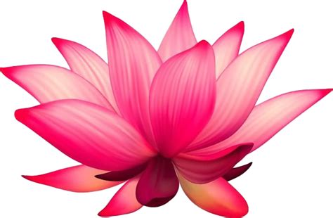 Lotus PNG Transparent Images PNG All