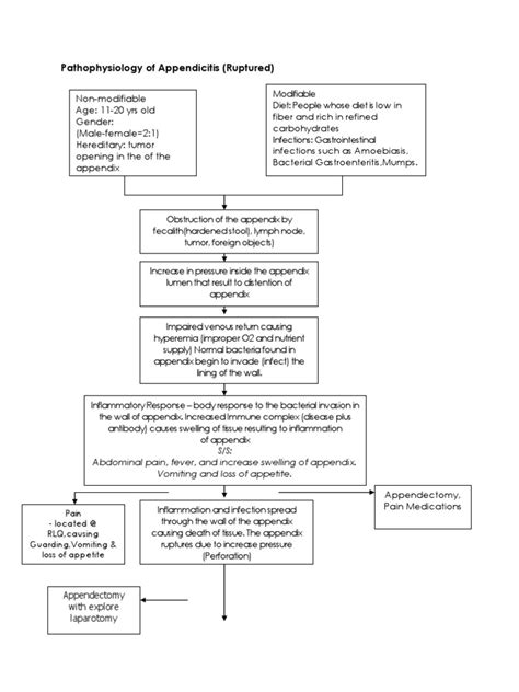 Pathophysiology Of Appendicitis Pdf