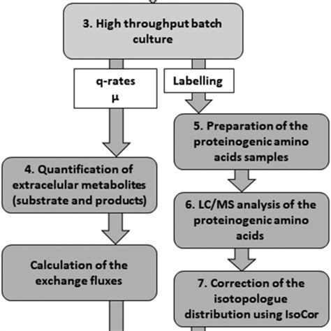 diagram illustrating the complete workflow for conducting high