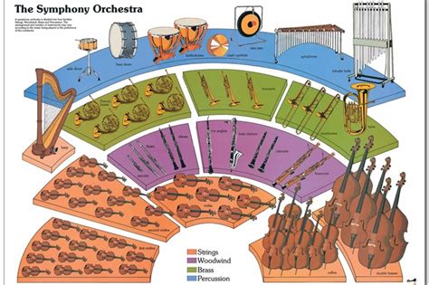 Symphony Orchestra Layout