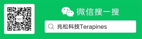 Risc V Vector 自动向量化及在 Llvm 中的实现 Terapines