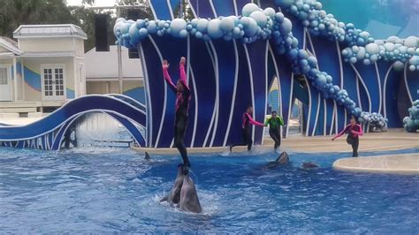 Seaworld Dolphin Show