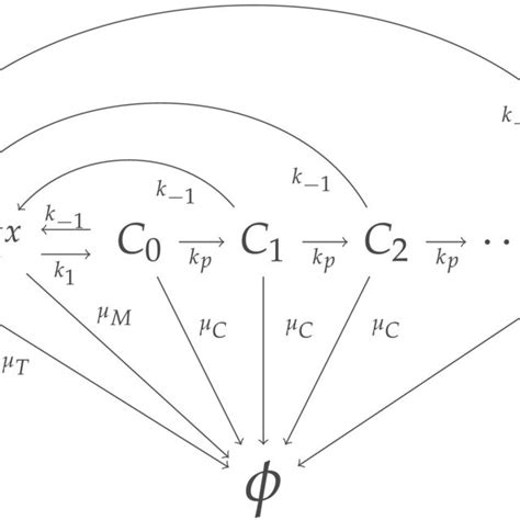Diagram Of A Markov Chain Model For Viral Infection Dynamics Colour