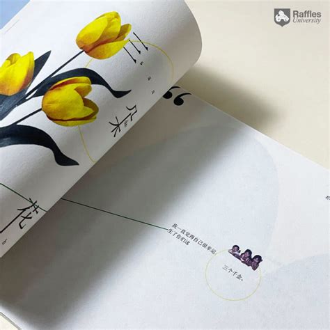 Ruo Ji Ruo Li Raffles University