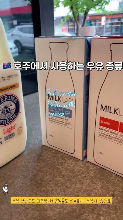 호주 바리스타가 사용하는 우유 Youtube
