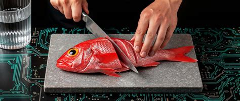 Our Top Tips To Prevent Phishing Scams