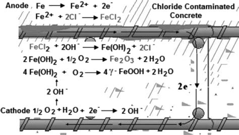 A Typical Corrosion Cell In The Reinforced Concrete Contaminated By Download Scientific Diagram