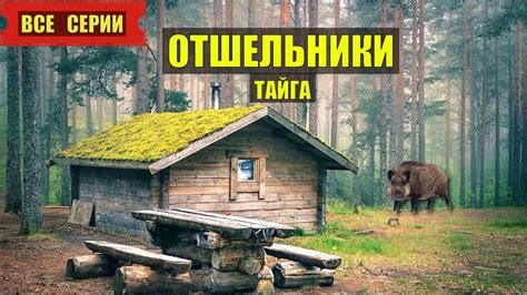 ВСЕ СЕРИИ ОТШЕЛЬНИКИ на ТРОПЕ ПОХОД ПУТЕШЕСТВИЕ УБЕЖИЩЕ ДОМ ЛЕСНИКА в