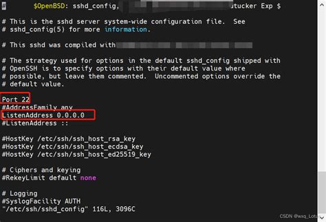 Centos系统ssh无法连接centos Ssh连不上 Csdn博客