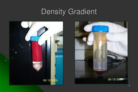 Ppt Laboratory Procedures Powerpoint Presentation Free Download Id