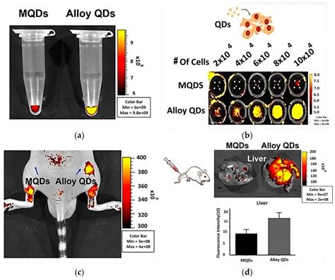 Cadmium Based Quantum Dots Alloyed Structures Synthesis Properties And Applications Pmc