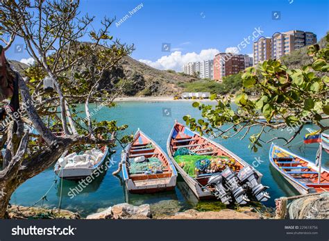 2497 Imágenes De Venezuelan Landscape Imágenes Fotos Y Vectores De