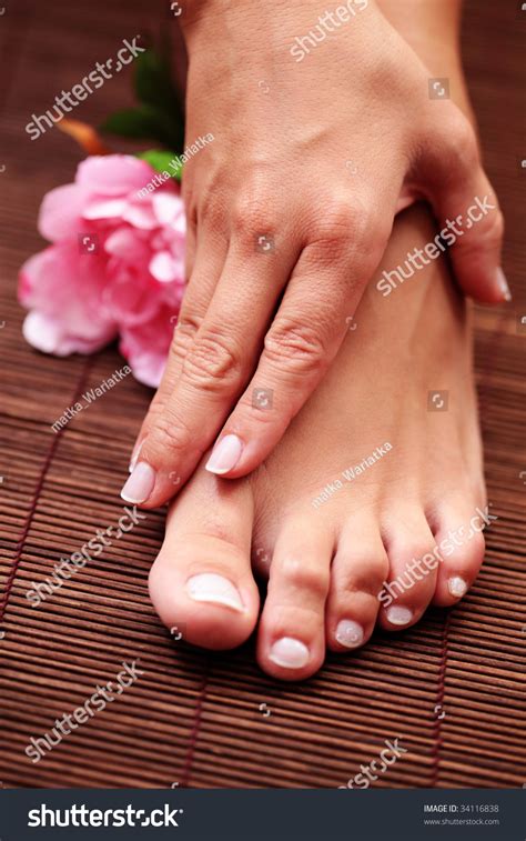 Sexy Female Feet Hands Bowl Flowers Stock Photo Shutterstock
