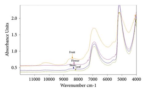 Ft Nir Spectra Of Leaf Stem Flower And Fruit Download Scientific Diagram