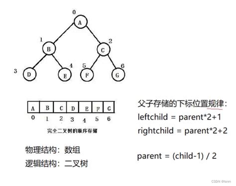 C语言数据结构基础笔记——树、二叉树简介兄弟节点 Csdn博客