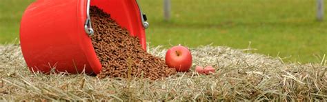 Animal Feed Types Manufacturing And Ingredients Hanseatic Agri
