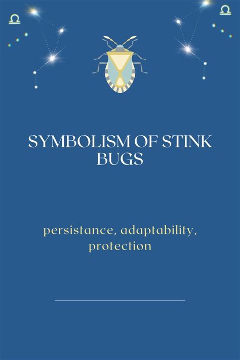 Spiritual Meaning Of Stink Bug Symbolism And 8 Signs Artofit