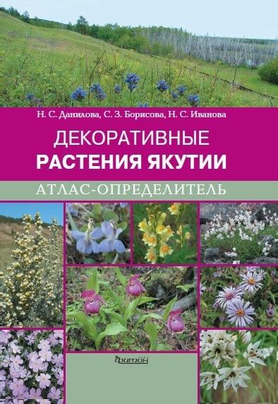 Декоративные растения Якутии: Атлас-определитель | Фитон XXI