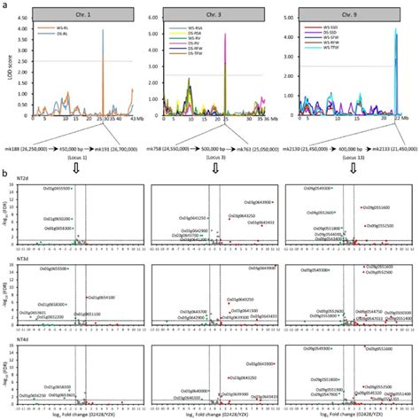 candidate gene identification by qtl mapping and expression profiling