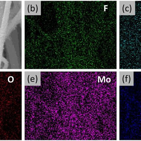 a sem image and the corresponding elemental mapping of b f c ti
