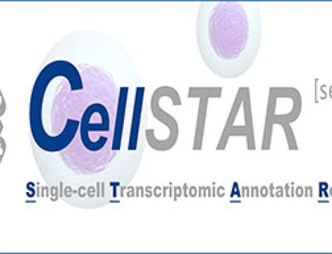 Goexpress Visualize Rna Seq And Microarray Data Using Gene Ontology Annotations Rna Seq Blog