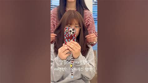 순천 헤어컨설팅 전문 지원 실장 모카무스 컬러 트렌드 염색 Youtube