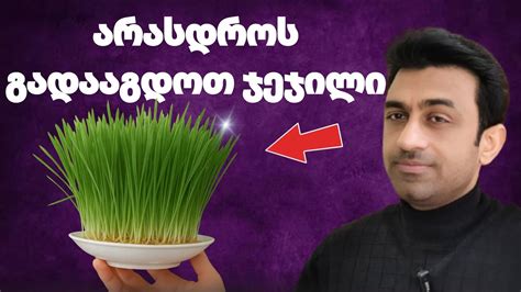 ეს ბალახი მკურნალობს მრავალ დაავადებებს Youtube