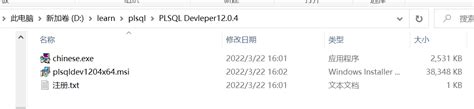 Plsql Developer详细安装步骤plsql Developer安装教程 Csdn博客