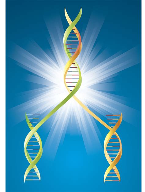 Definition Of Descent With Modification