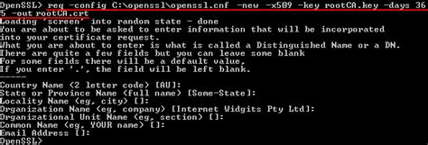 Self Signed Custom Ssl Virtuozzo Dev Docs