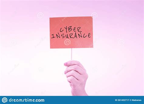 Conceptual Caption Cyber Insurance Business Overview Exclusive Plan To Protect The Company From