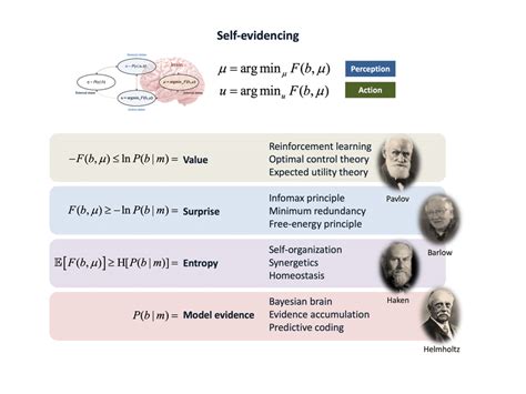 Markov Blankets And Self Evidencing This Schematic Illustrates The