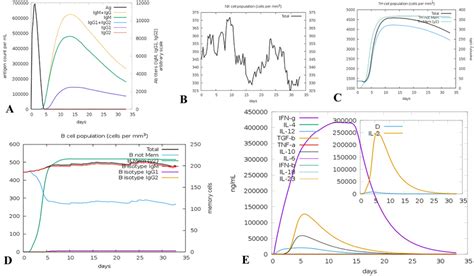 In Silico Immune Simulation With The Subunit Vaccine A Immunoglobulin