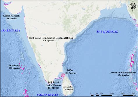 Comparison Of The Numbers Of Scleractinian Corals Recorded In Different Download Scientific