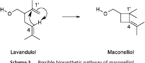Figure 1 From Sex Pheromone Of The Pink Hibiscus Mealybug