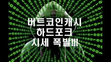 비트코인캐시 하드포크 왜 폭발했나 Youtube