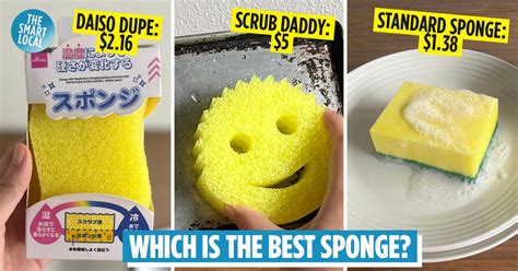 Comparing The Viral Scrub Daddy Against Everyday Sponges