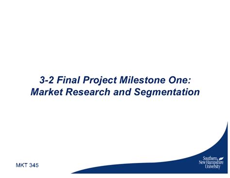 Mkt 345 Final Project Milestone One Market Research And Segmentation